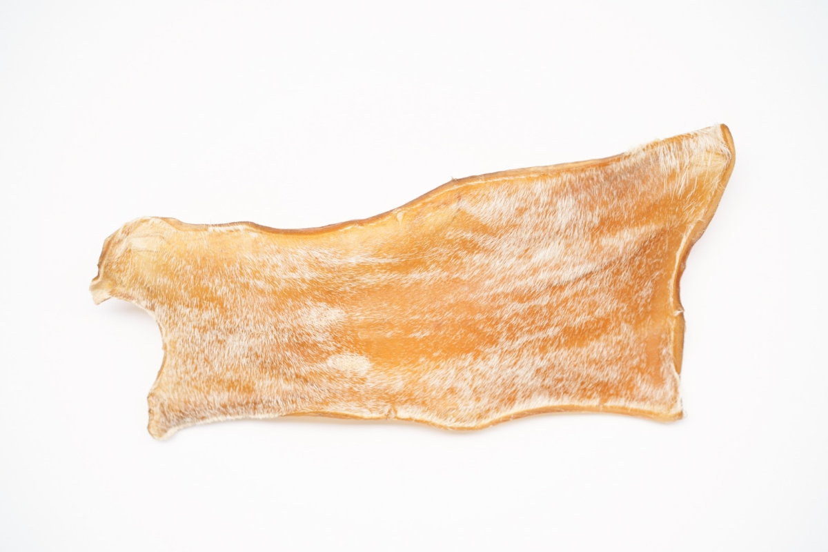 Interior Design Department | BKKDW2020