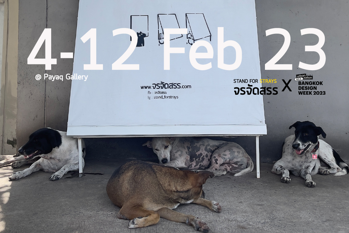 จรจัดสรร Stand for Strays | BKKDW2023