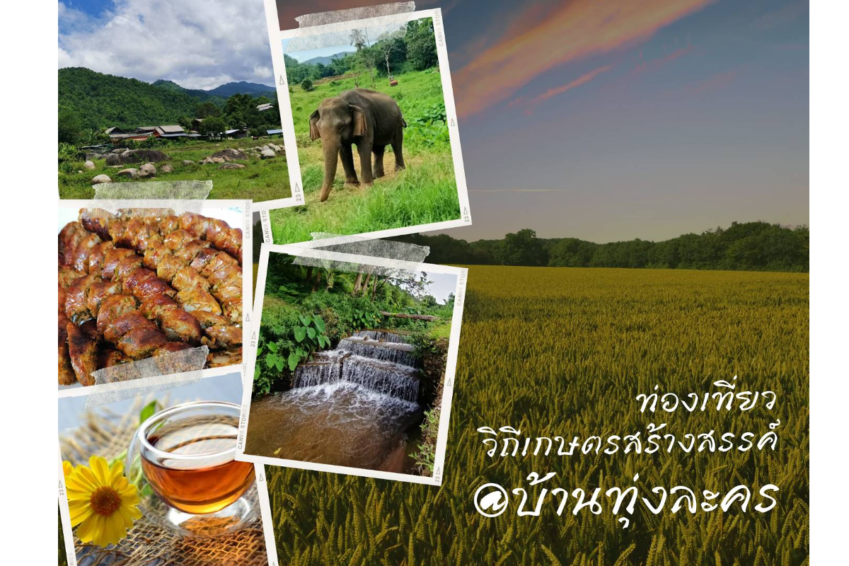 Tourism and Hospitality, RMUTL Chiangmai | CMDW2023