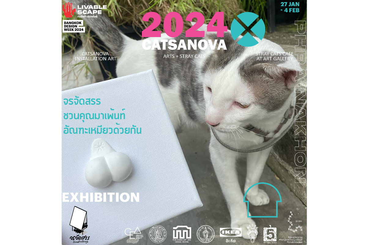 จรจัดสรร Stand for Strays | BKKDW2024